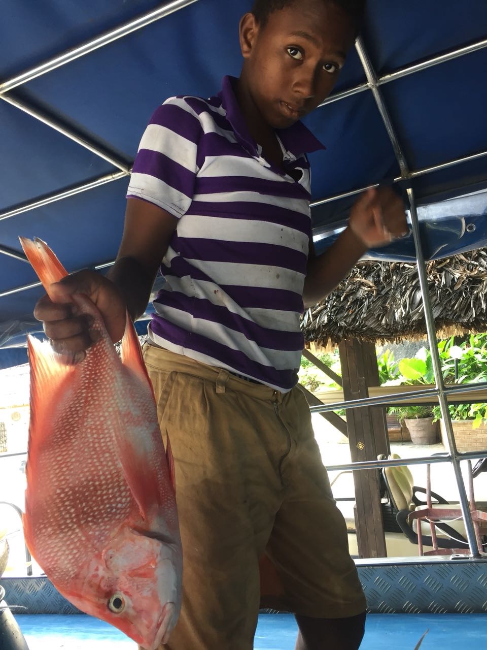 Colibri Guesthouse – Colibri is a family heritage, a passion for nature ...